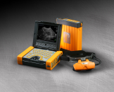 Using Portable Ultrasound for Early Pregnancy Detection in Sheep