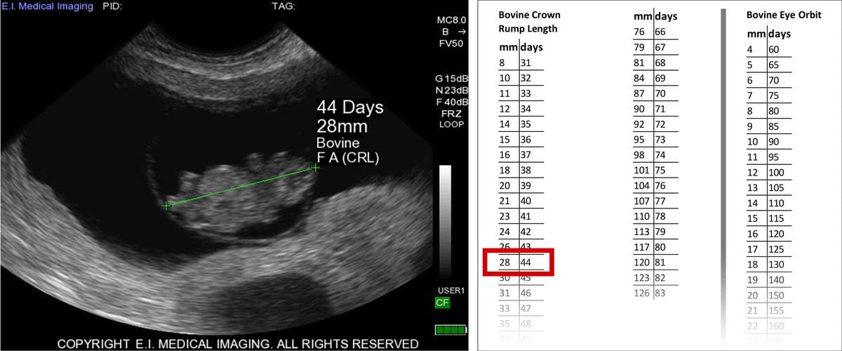 Three Things You Didn't Know You Could Do With Your IBEX PRO