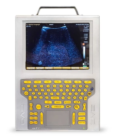 Veterinary Ultrasound | IBEX EVO (2)