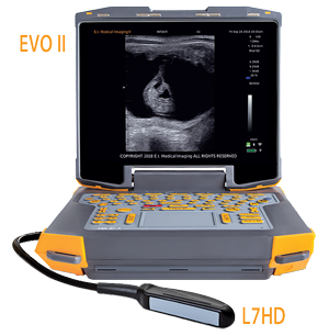Next Generation Veterinary Ultrasound