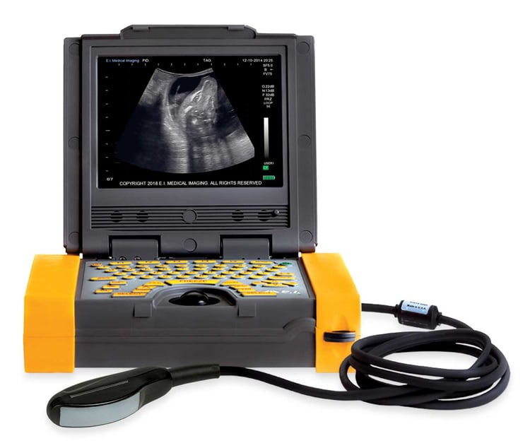Veterinary Ultrasound | equine reproductive ultrasound