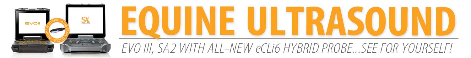 Ultrasound Basics: How to Read an Ultrasound Image