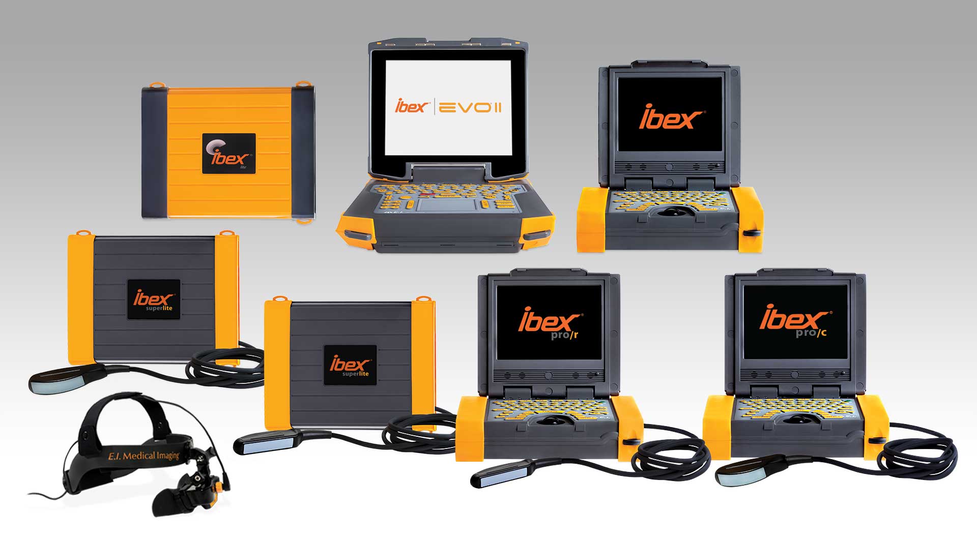 Veterinary Ultrasound for You